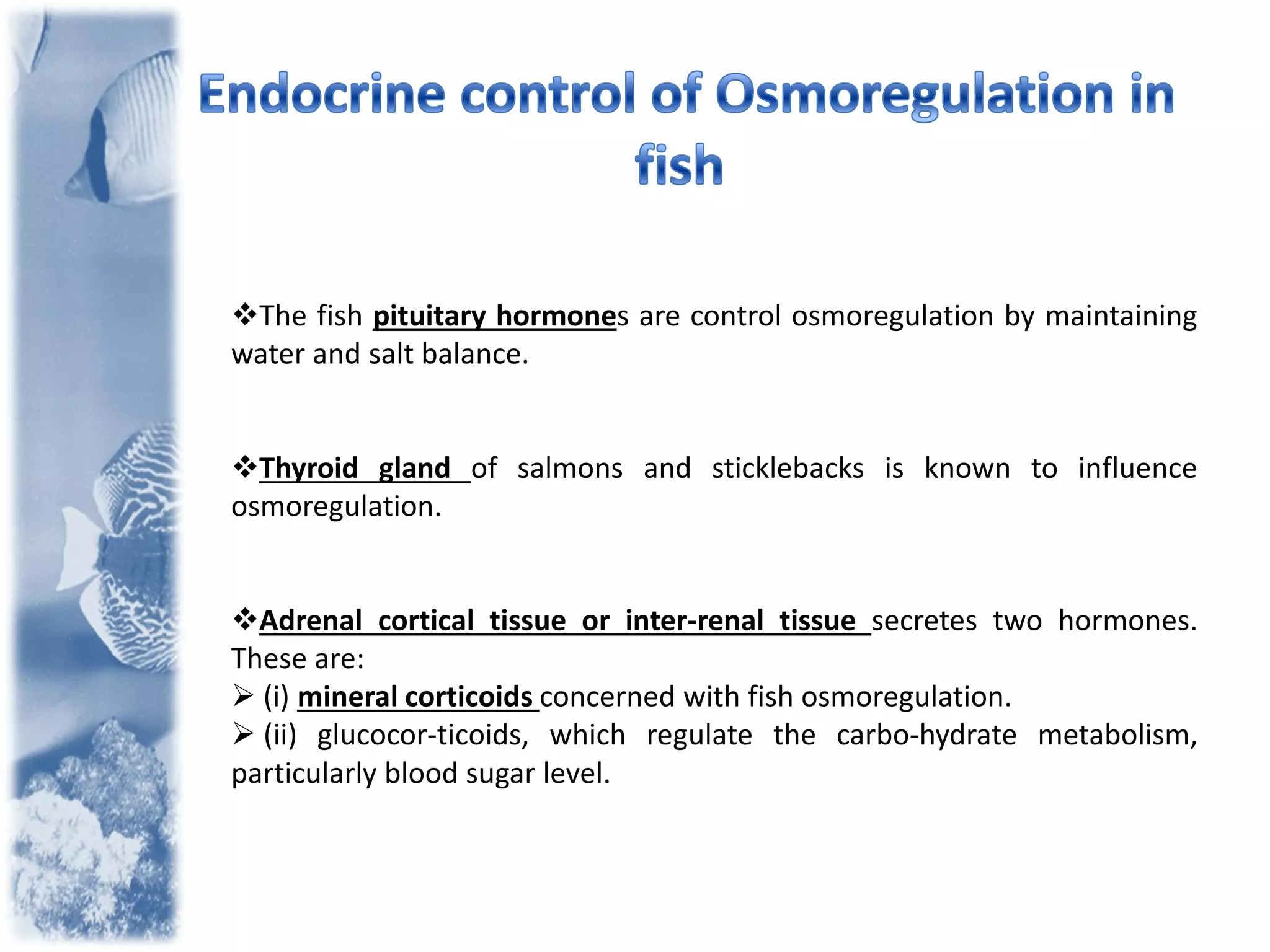 Endocrine control of osmoregulation in fish zeinab klaab | PDF