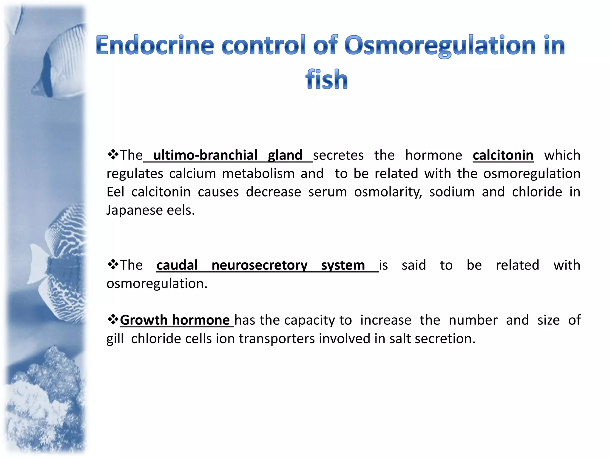 Endocrine control of osmoregulation in fish zeinab klaab | PDF