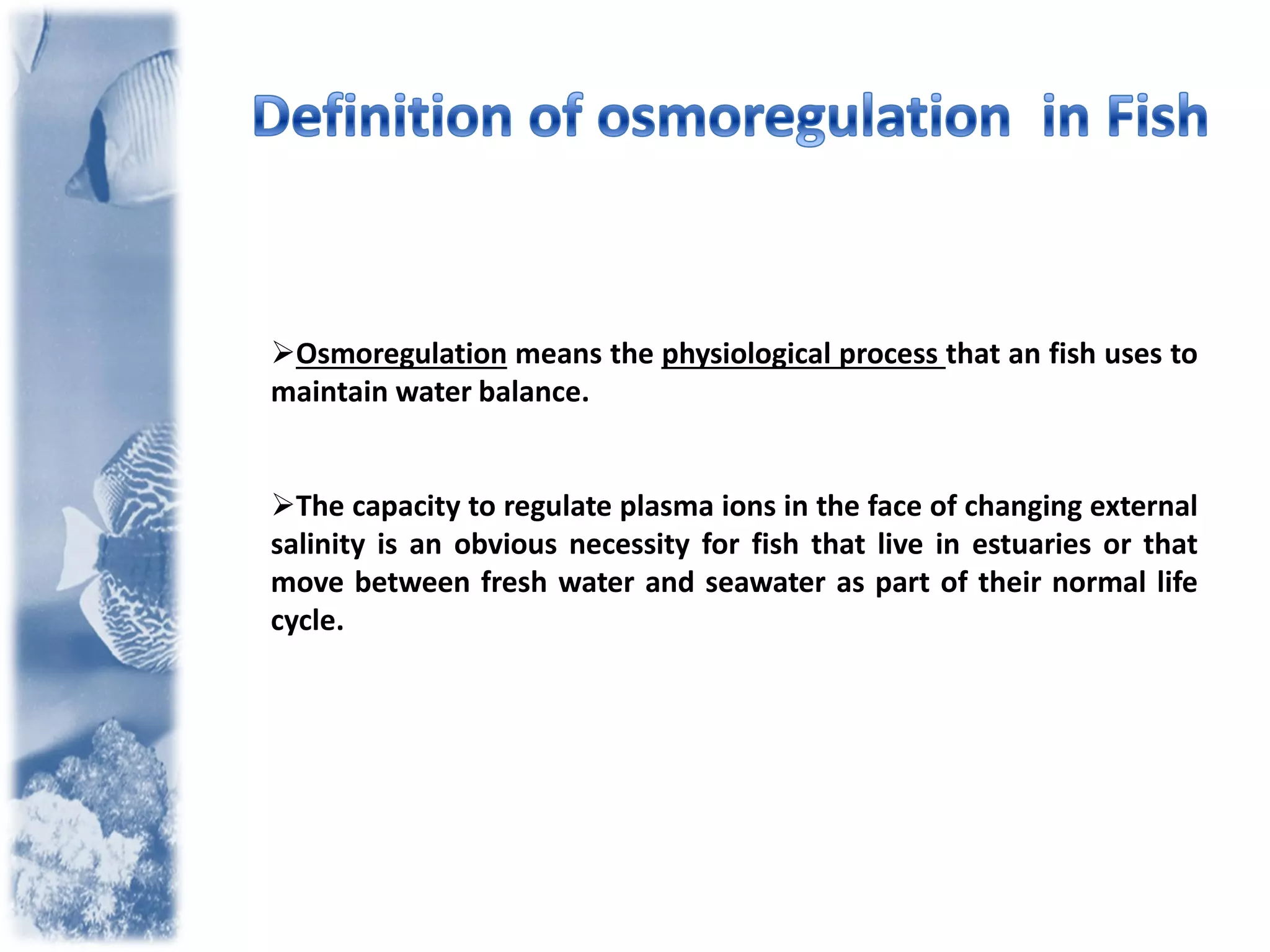 Endocrine control of osmoregulation in fish zeinab klaab | PDF