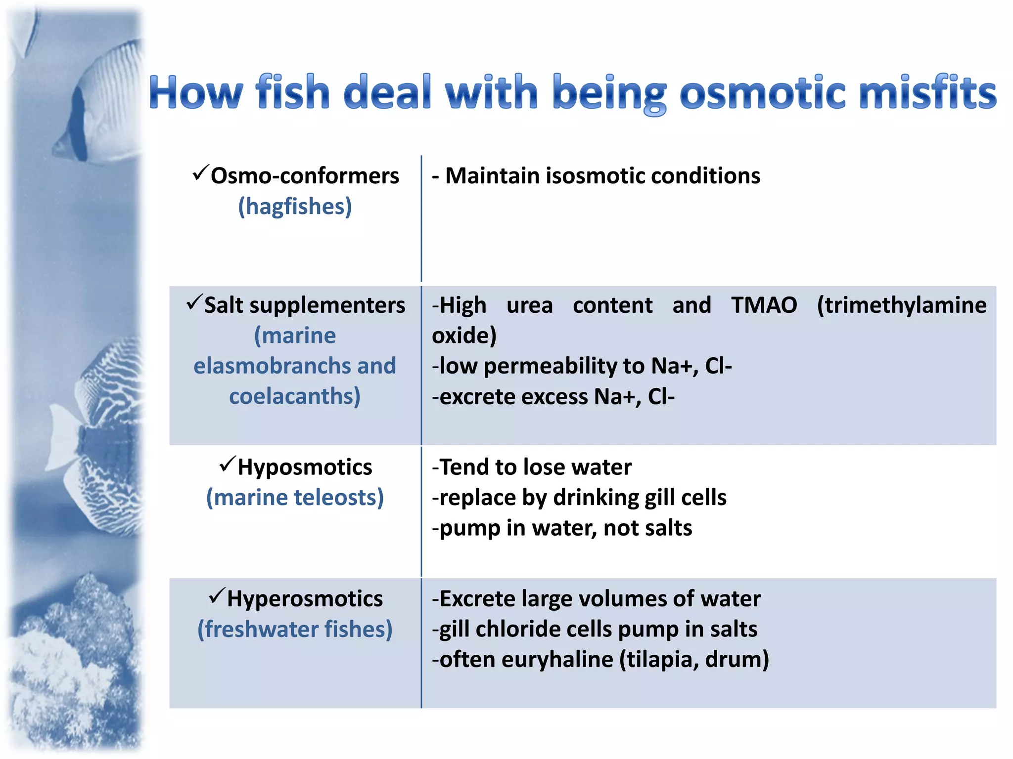 Endocrine control of osmoregulation in fish zeinab klaab | PDF