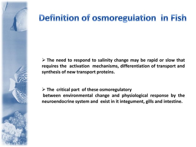 Endocrine control of osmoregulation in fish zeinab klaab | PPT