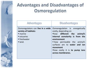 Endocrine control of osmoregulation in fish zeinab klaab | PPT