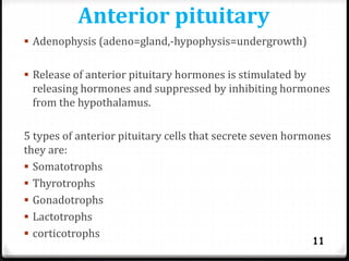 Endocrine control system | PPTX