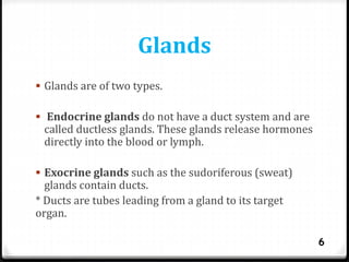 Endocrine control system | PPTX