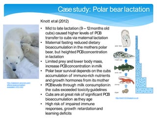 Endocrine Disruptors ( Toxicology) | PPTX
