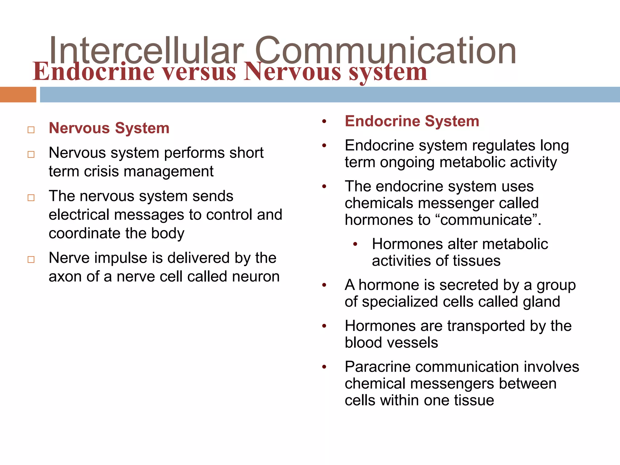 Endocrine Disorder.pptx