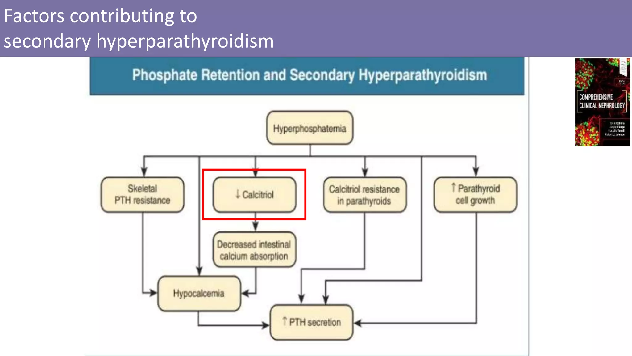 Endocrine disorders in CKD | PPTX