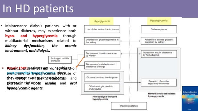 Endocrine disorders in CKD | PPTX | Hormonal Disorders | Endocrine and ...