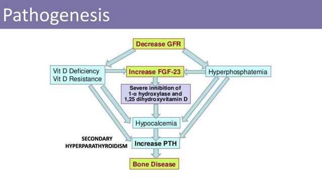 Endocrine disorders in CKD | PPTX | Hormonal Disorders | Endocrine and ...