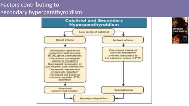 Endocrine disorders in CKD | PPTX | Hormonal Disorders | Endocrine and ...