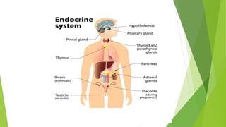 endocrine disorders.ppt presented by gayathrimaripandiyam | PPTX