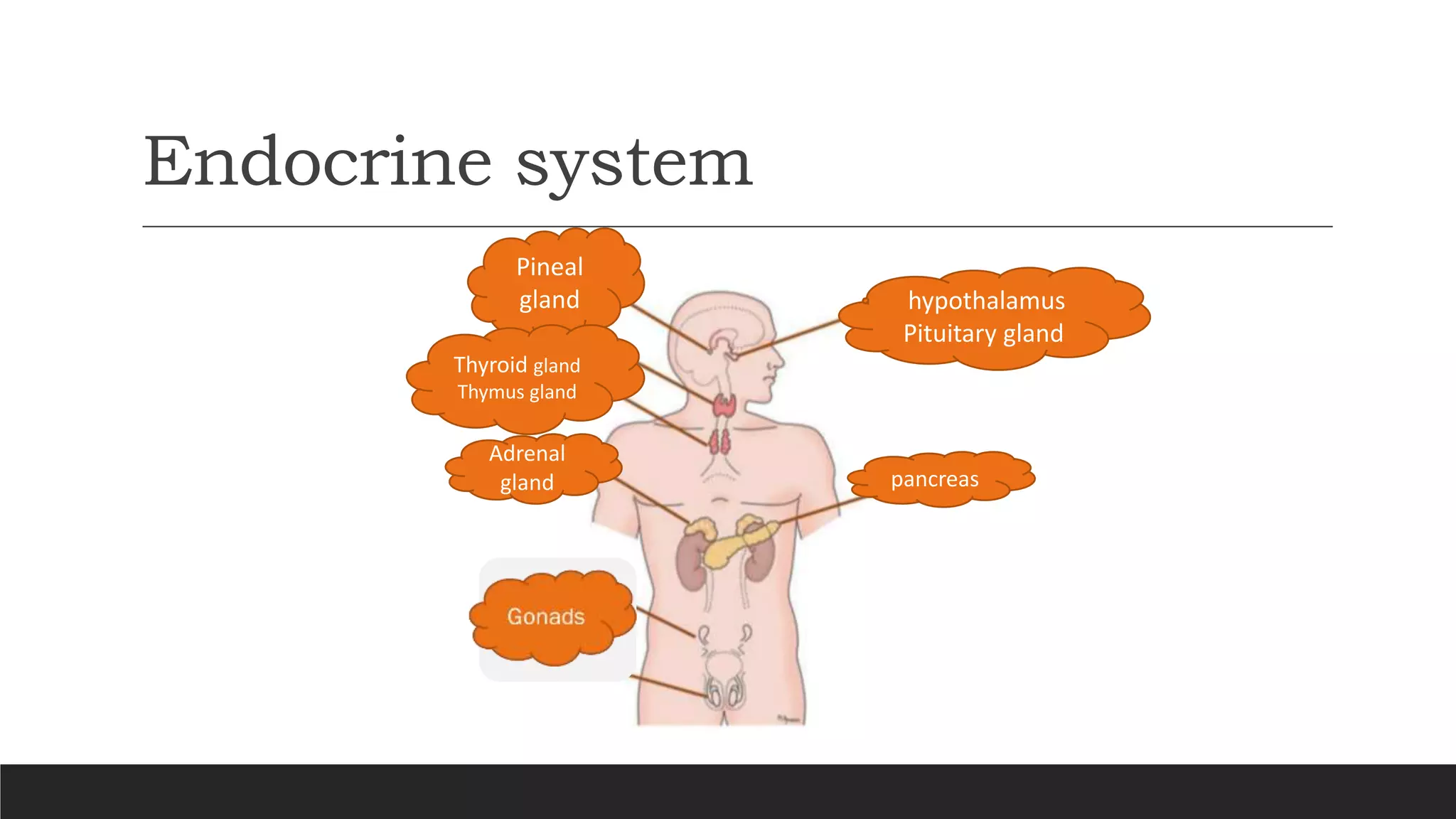 ENDOCRINE DISORDERS BY TABZ.pptx