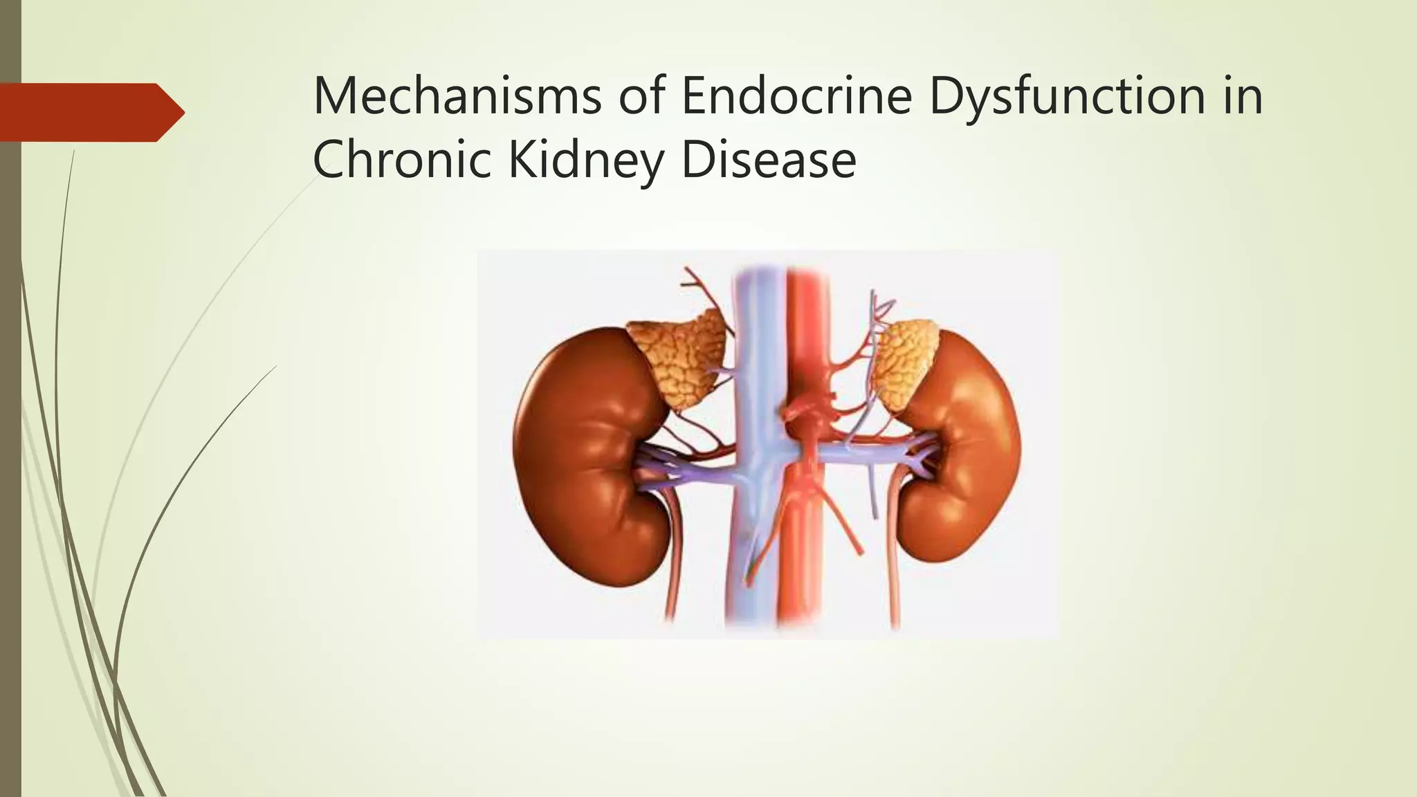 Endocrine disorders in chronic kidney disease | PPTX