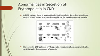 Endocrine disorders in chronic kidney disease | PPTX