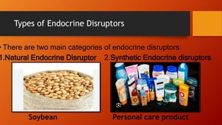 Endocrine disrupters Msc.Part II | PPTX