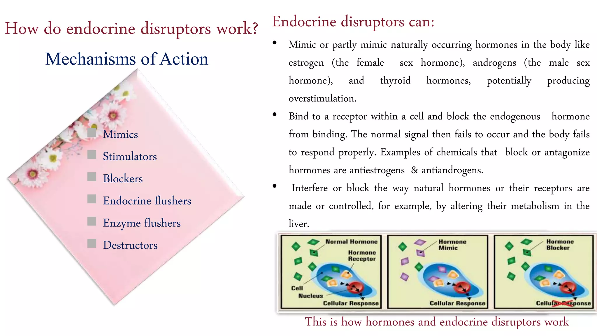 Endocrine Disruptors Chemicals | PPTX