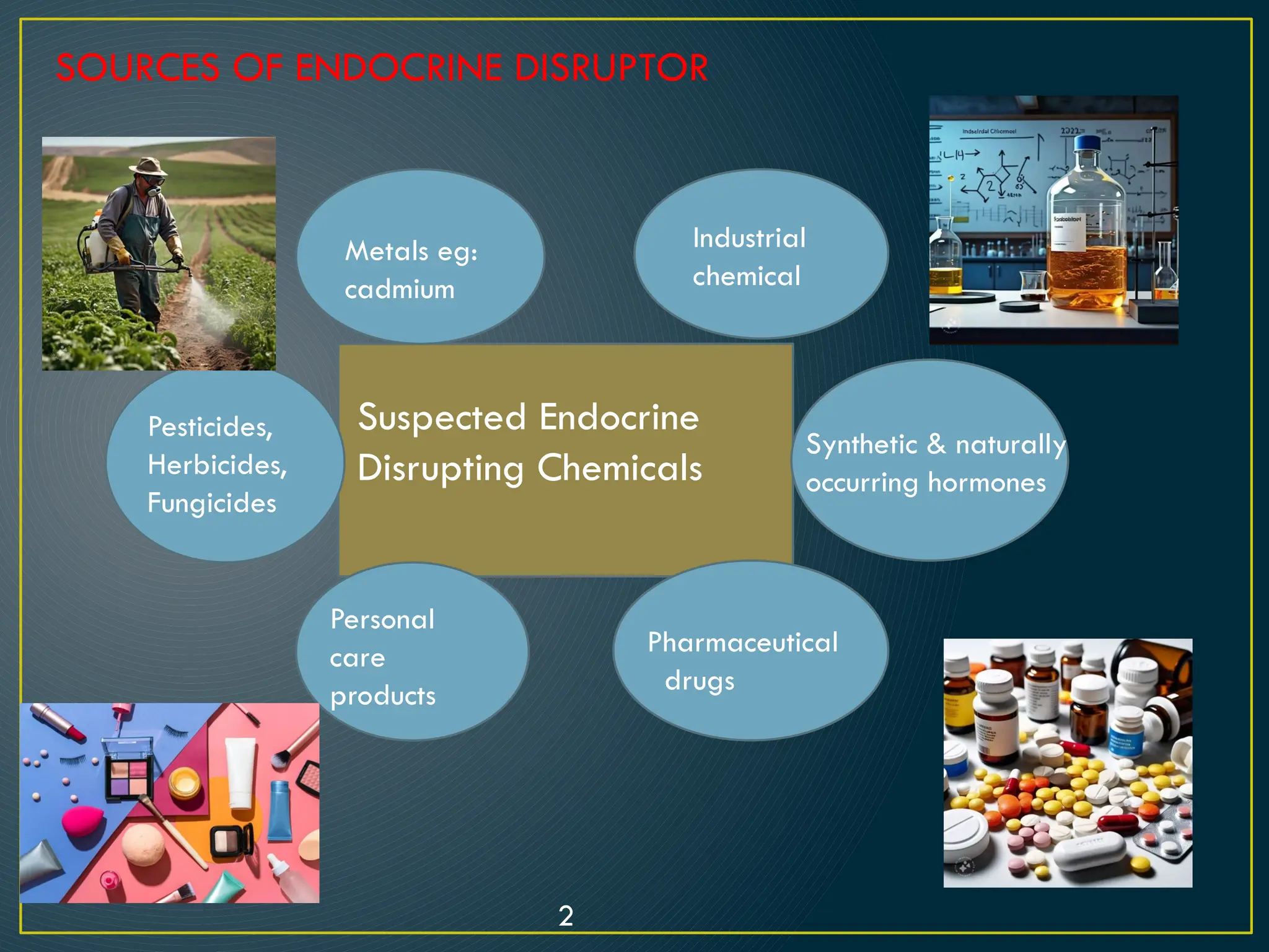 ENDOCRINE DISRUPTING CHEMICAL MSC 3RD SEM.pptx