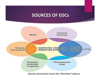 Endocrine disruptors | PPTX