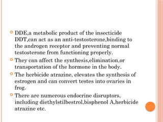 "Endocrine Disruptors: Hidden Threats to Hormonal Health and the ...