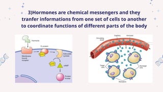 Endocrine Distrupter Toxicology.ppt (agadtantra) | PPTX