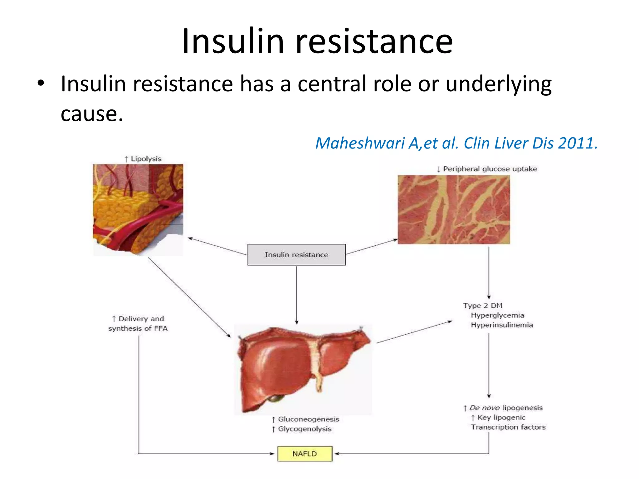 Endocrine dysfunction in cld | PPTX