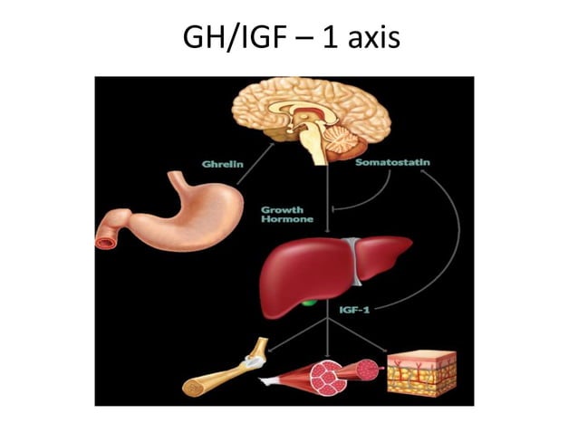 Endocrine dysfunction in cld | PPTX