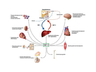 Endocrine dysfunction in cld | PPTX