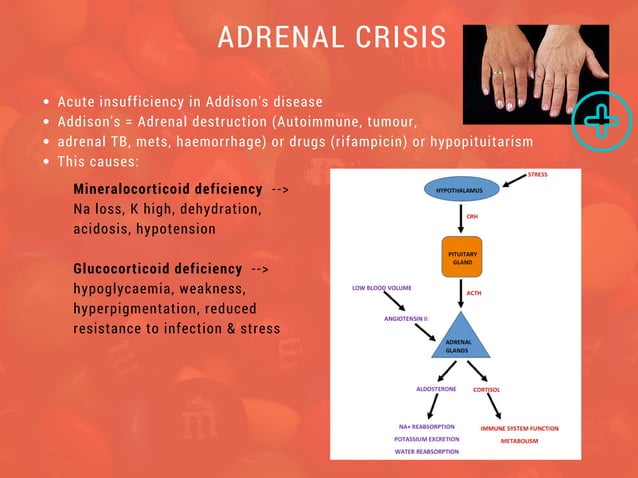 Endocrine emergencies | PDF | Thyroid Disorders | Endocrine and ...