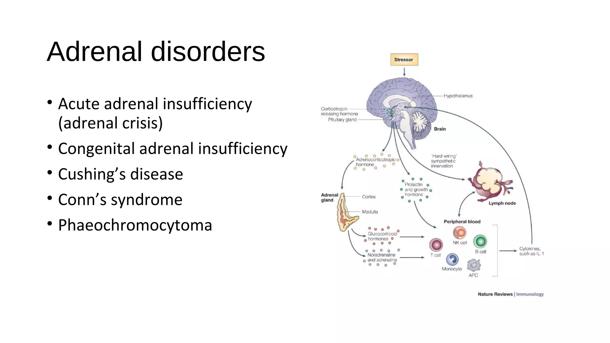 Endocrine Emergencies | PPT