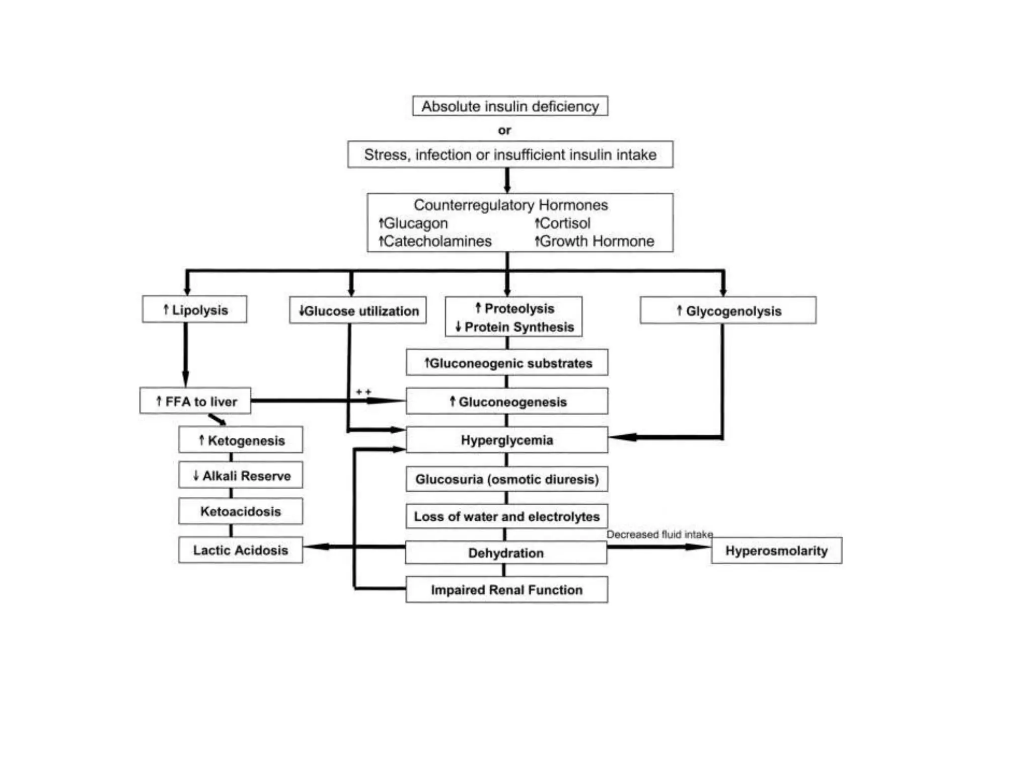 Endocrine emergency | PPTX