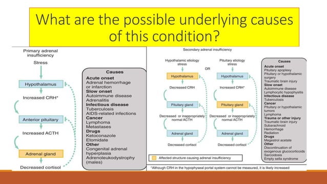 Endocrine emergency cases | PPTX