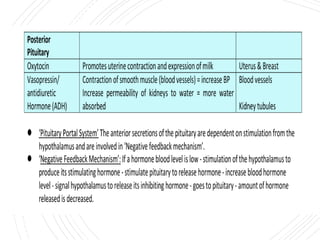 Endocrine_Exocrine_Detailed_HPA AXIS GLANDS | PPTX