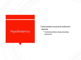 Endocrine_Exocrine_Detailed_HPA AXIS GLANDS | PPTX