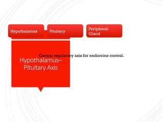 Endocrine_Exocrine_Detailed_HPA AXIS GLANDS | PPTX