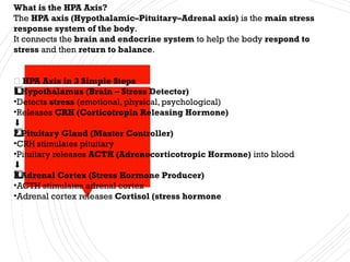 Endocrine_Exocrine_Detailed_HPA AXIS GLANDS | PPTX