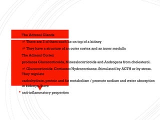 Endocrine_Exocrine_Detailed_HPA AXIS GLANDS | PPTX