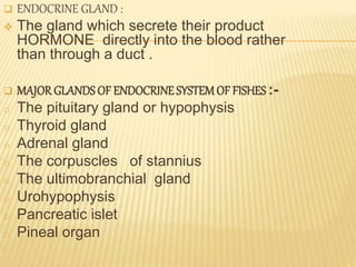 Endocrine Fish characteristic and introduction.pdf