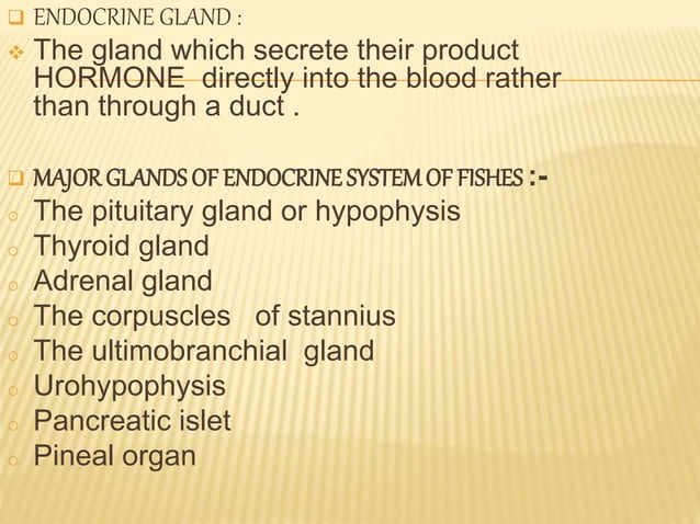 Endocrine Fish characteristic and introduction.pdf