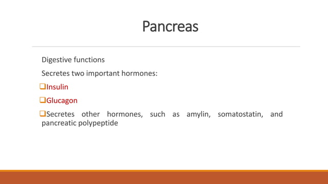 Endocrine function of pancrease.peyudrurudrdf | PPT