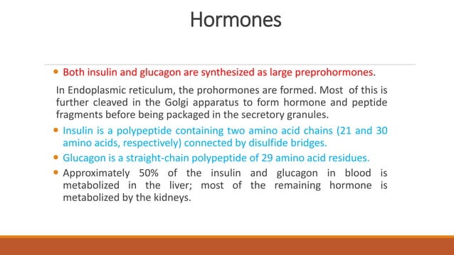 Endocrine function of pancrease.peyudrurudrdf | PPT