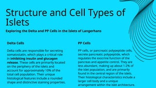 endocrine functions of pancreas a physiological aspect | PPTX