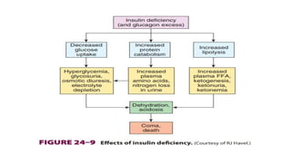 Endocrine functions of the pancreas & regulation of | PPT