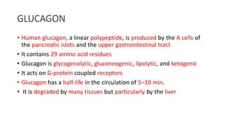 Endocrine functions of the pancreas & regulation of | PPT
