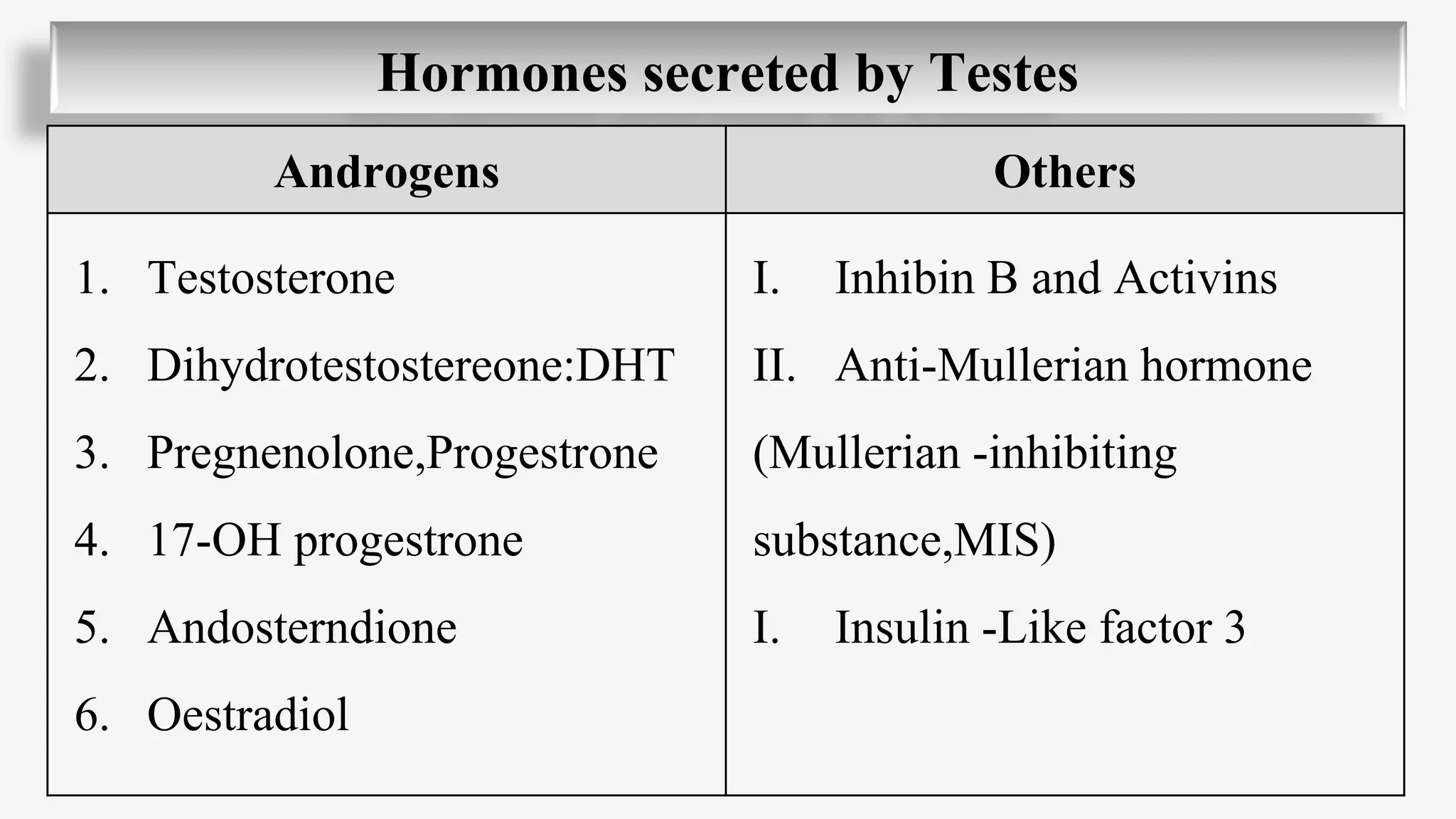Endocrine functions of the Testsis 2022.pdf