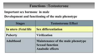 Endocrine functions of the Testsis 2022.pdf