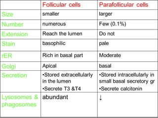 Endocrine genitourinary block copy | PPT