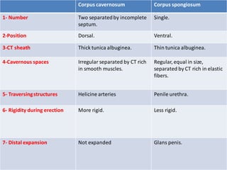 Endocrine genitourinary block copy | PPT