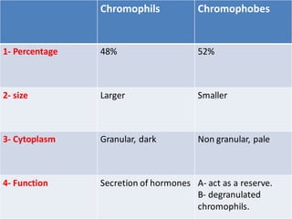 Endocrine genitourinary block copy | PPT