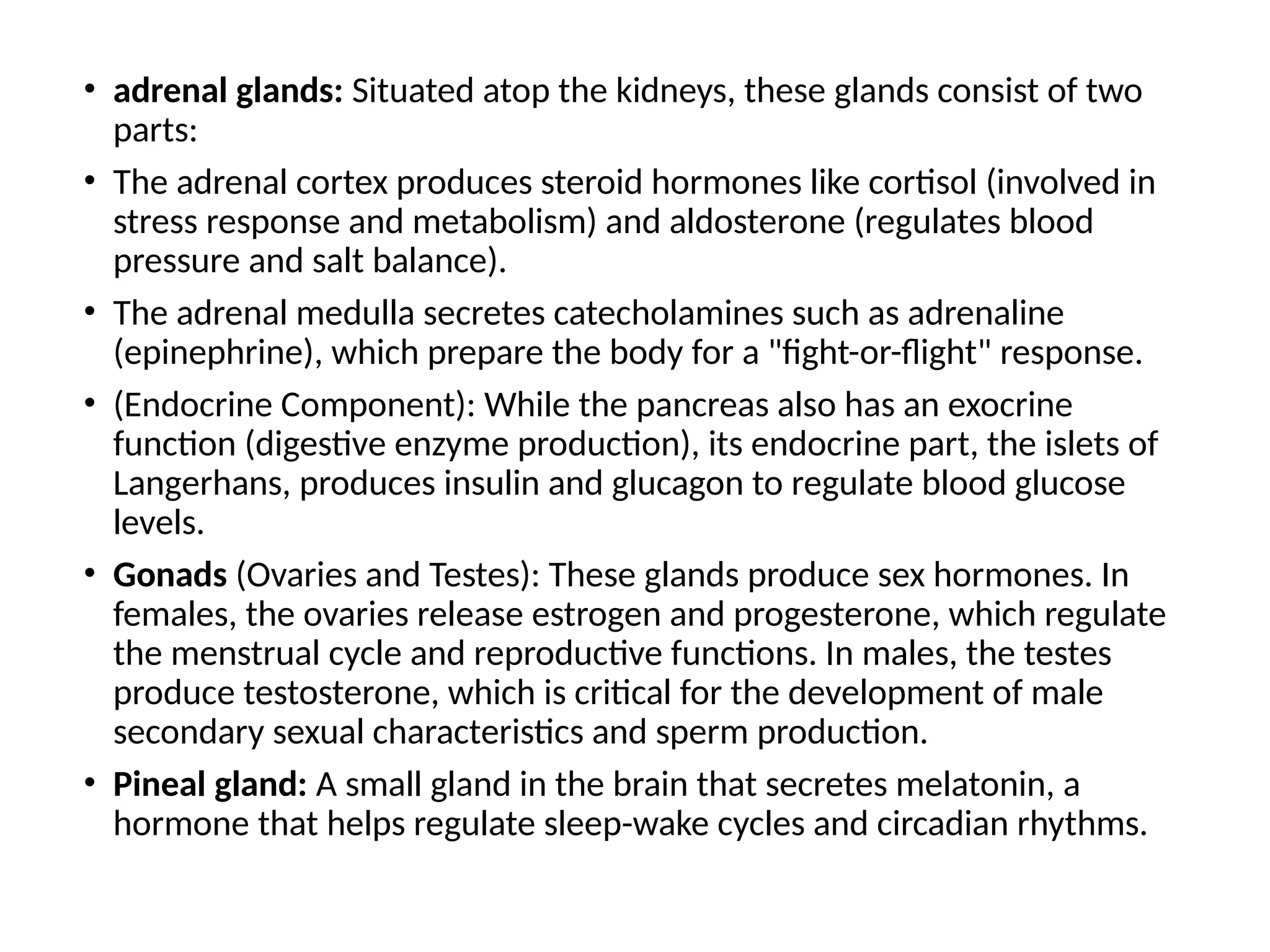 ENDOCRINE GLANDS anatomy.pptx anatomy. Endocrine glands | PPTX