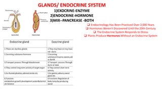 ENDOCRINE GLAND YOGA NET UGC,SCIENCE STUDENTS,NURSHING AND ALLIED HEALTHCARE EXAM | PPTX ...